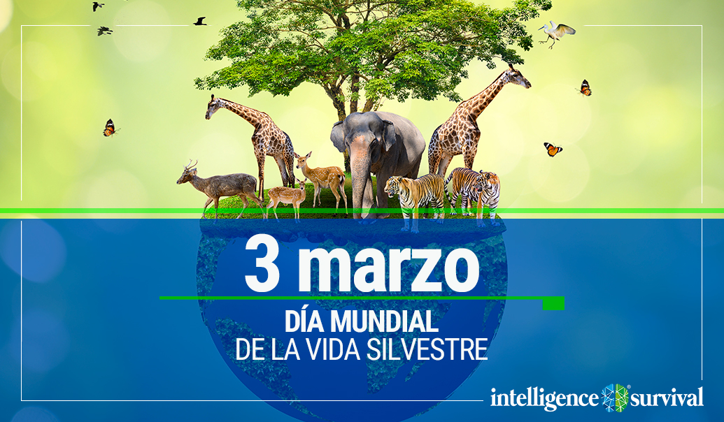 Día Mundial De La Vida Silvestre Intelligence And Survival